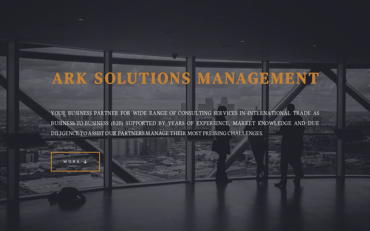Ark Solutions Management, a Business Consulting Services